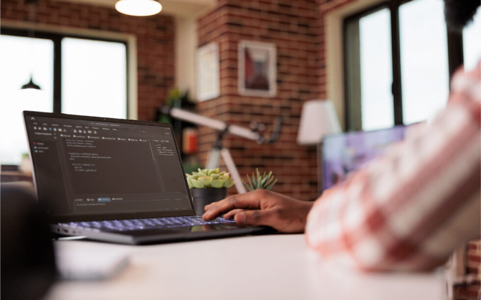 The Most Common Types of Software Development Examined